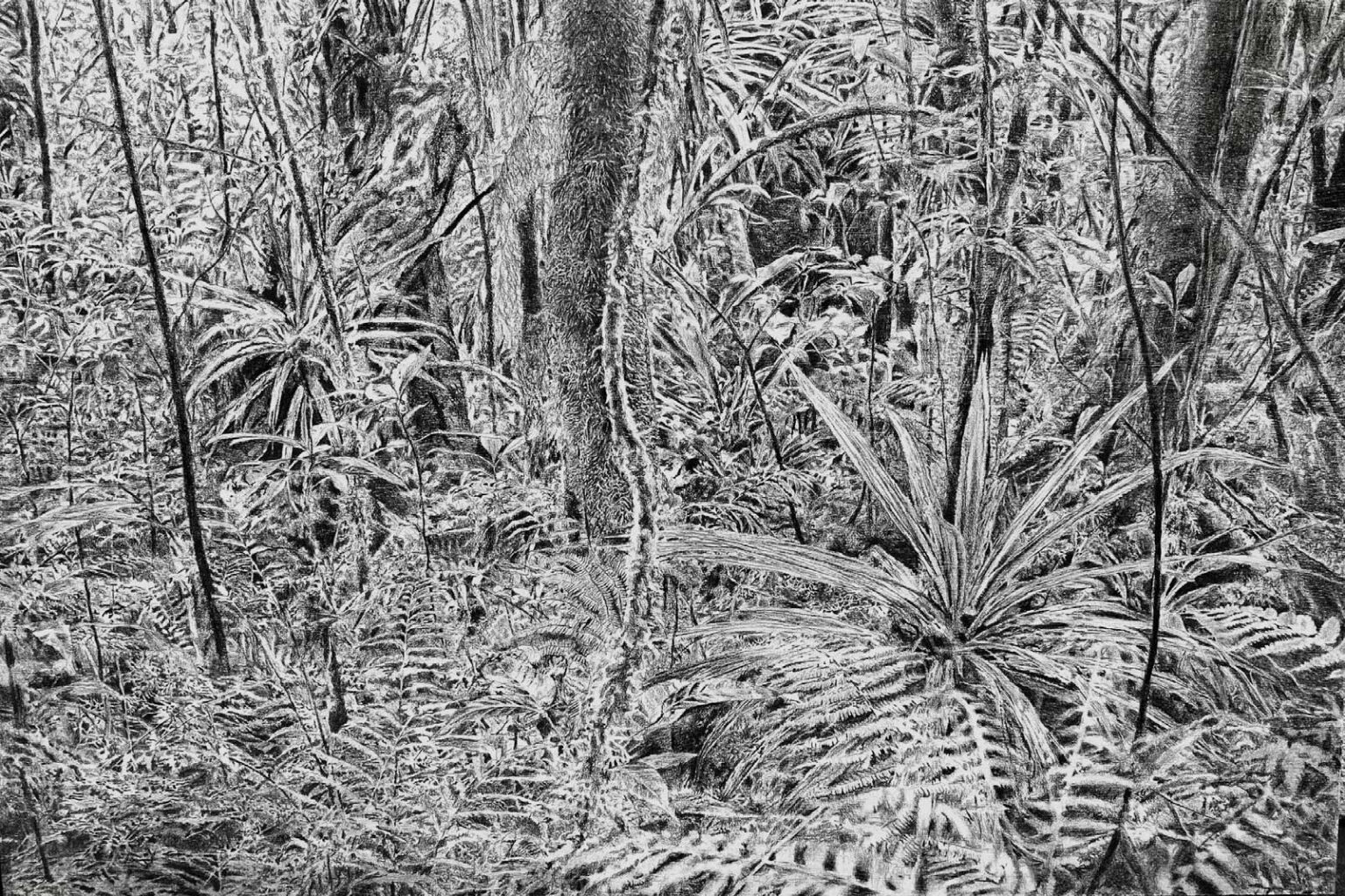 Lucile Soussan, Le crayon, la forêt et l’océan – LaCritique.Org